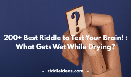200+ Best Riddle to Test Your Brain! : What Gets Wet While Drying ...